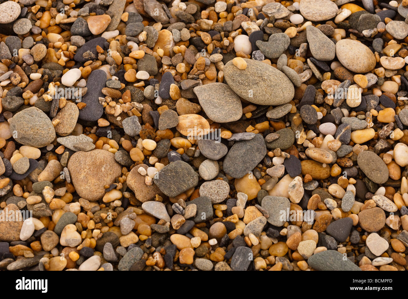 Pebbled beach on bering sea hi-res stock photography and images - Alamy