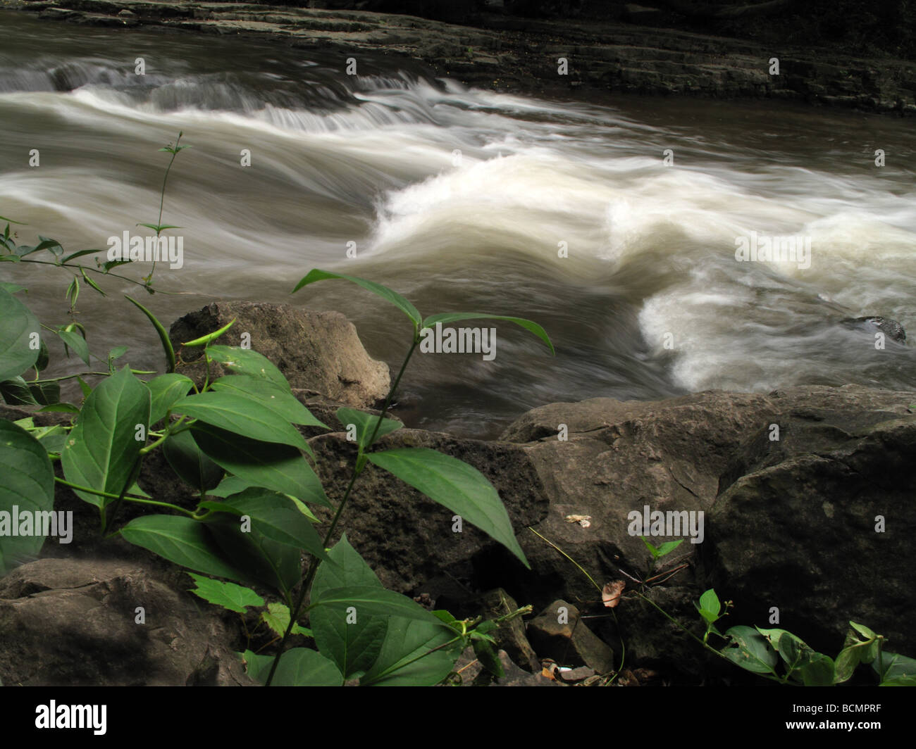 Irondequoit creek hi-res stock photography and images - Alamy