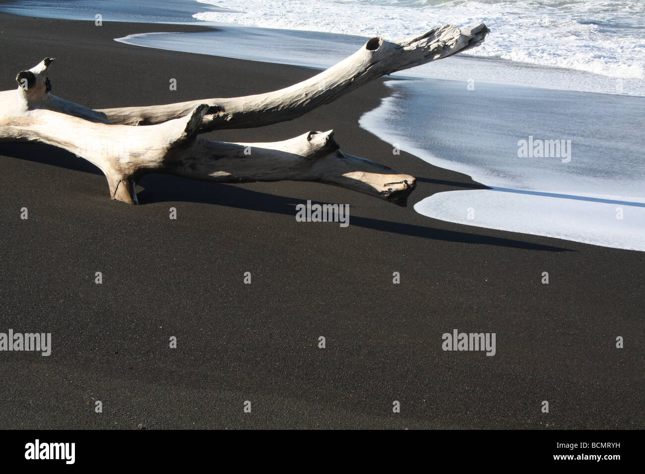 Driftwood on Wairo beach Stock Photo - Alamy