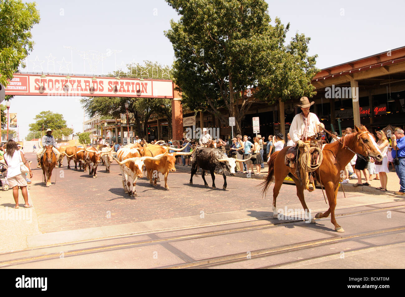 Cattle drive cowboys stockyards in hi-res stock photography and images ...