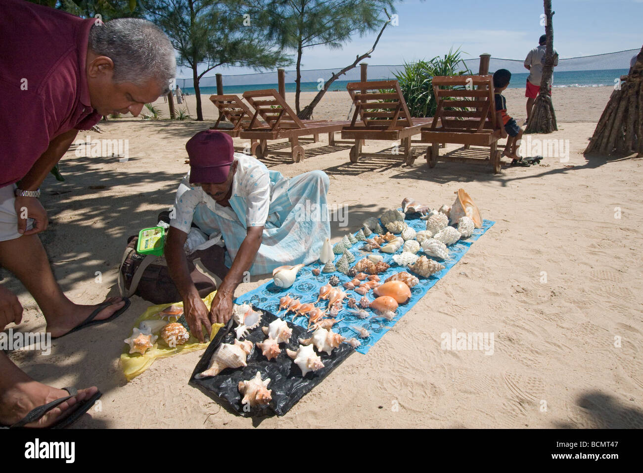 Man selling sea shells at Nilaveli beach, Trincomalee, Sri Lanka Stock ...