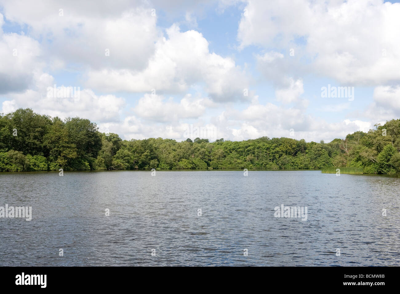 Virginia Water Surrey England Stock Photo - Alamy