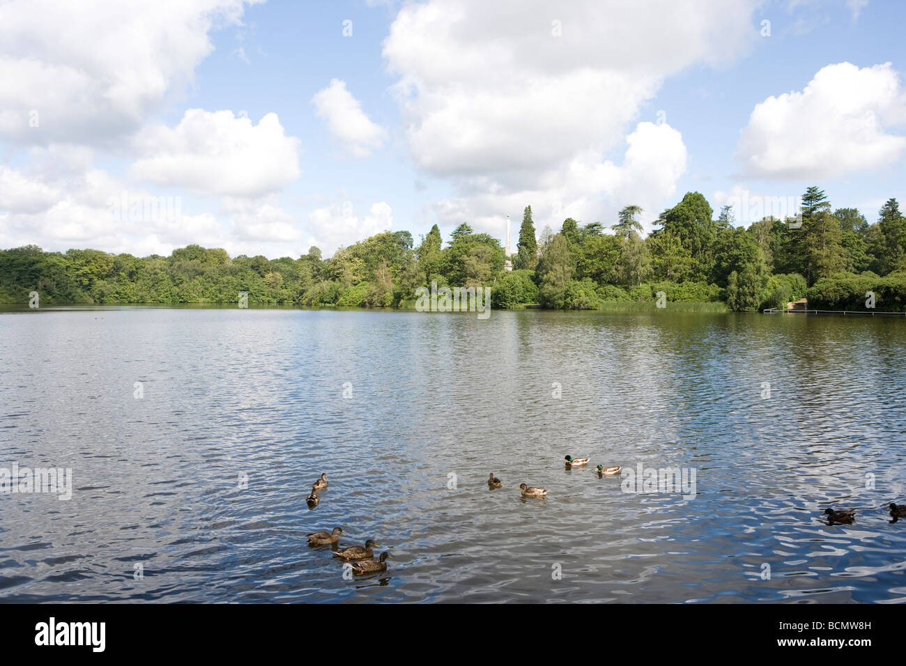 Virginia Water Surrey England Stock Photo - Alamy