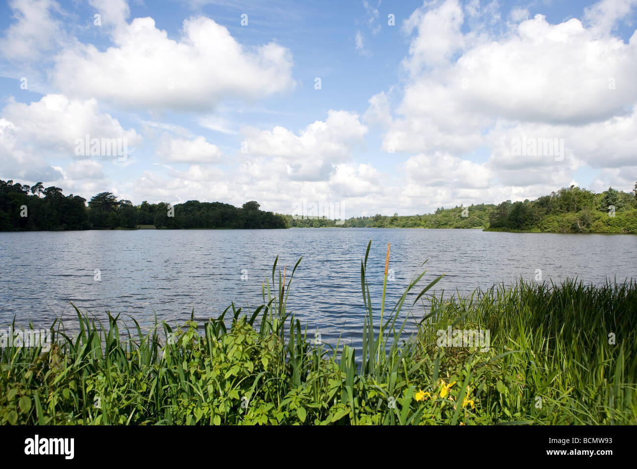 Virginia Water Surrey England Stock Photo - Alamy