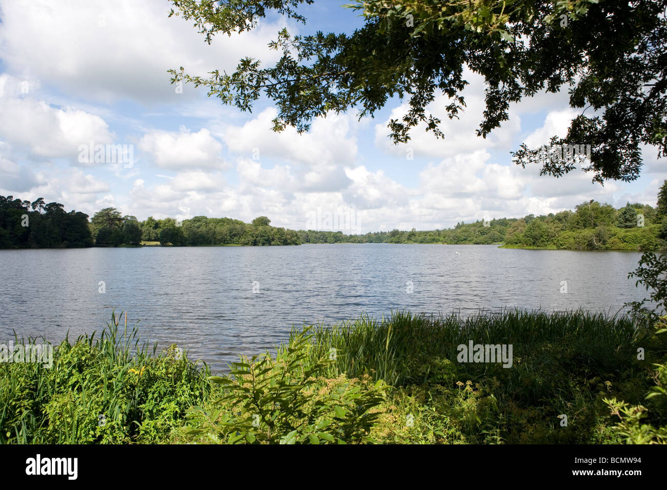 Virginia Water Surrey England Stock Photo - Alamy