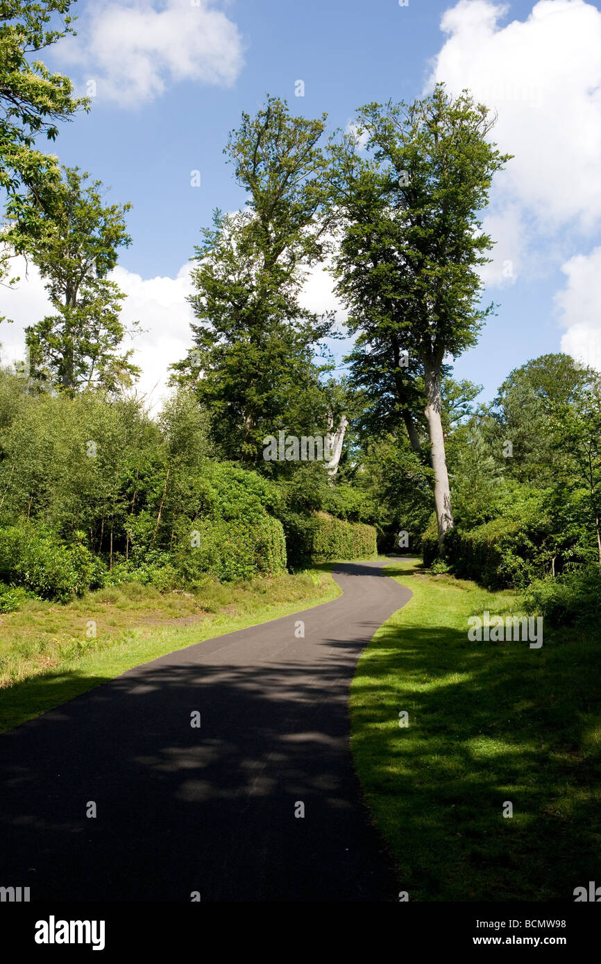 Virginia Water Surrey England Stock Photo - Alamy