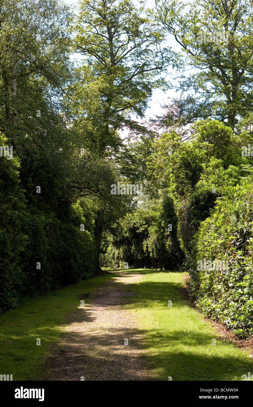 Virginia Water Surrey England Stock Photo - Alamy