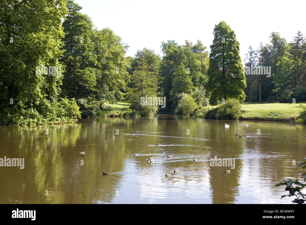 Virginia Water Surrey England Stock Photo - Alamy