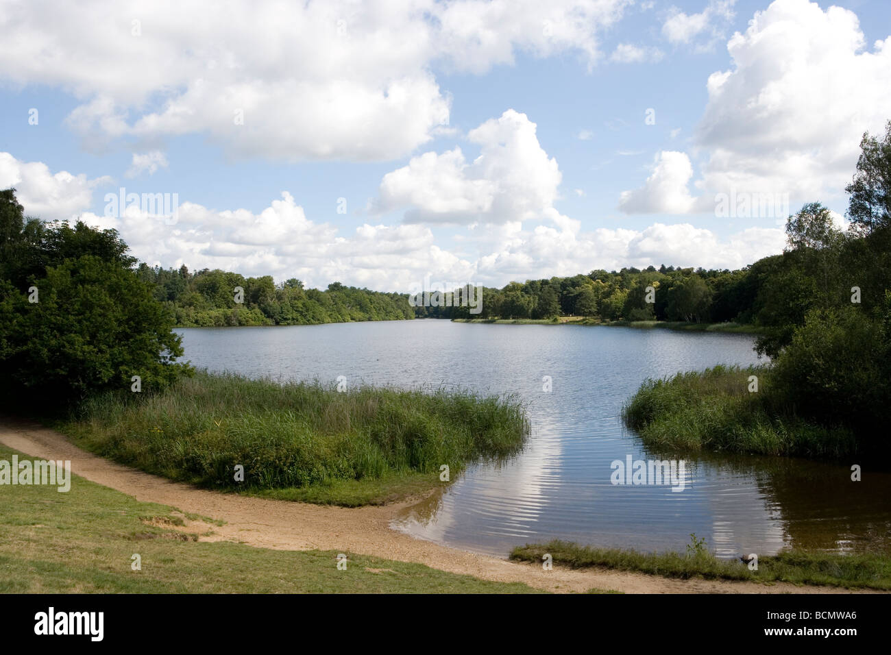 Virginia Water Surrey England Stock Photo - Alamy