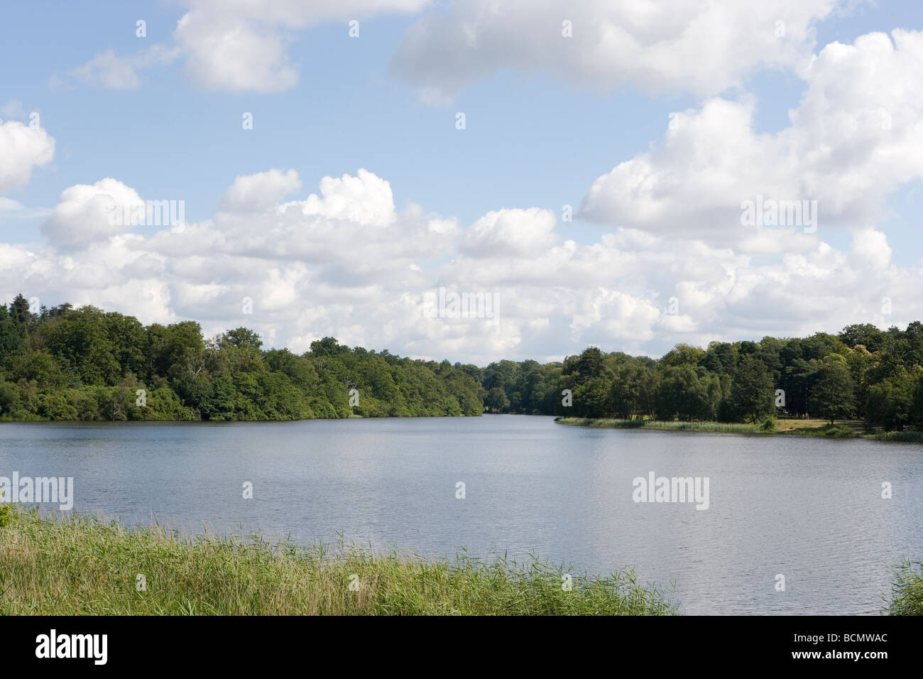 Virginia Water Surrey England Stock Photo - Alamy