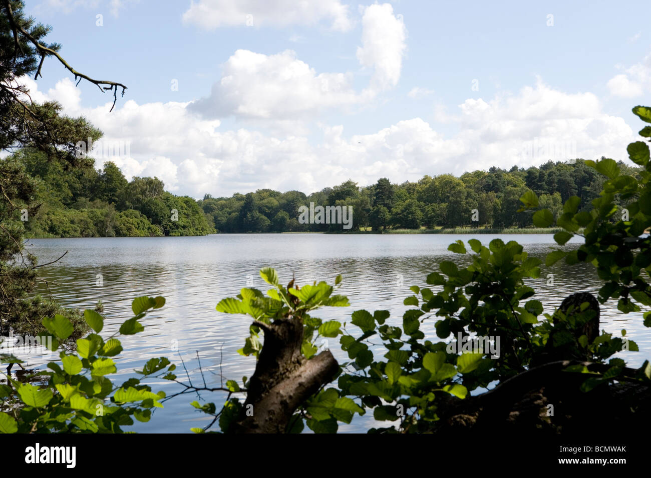 Virginia Water Surrey England Stock Photo - Alamy