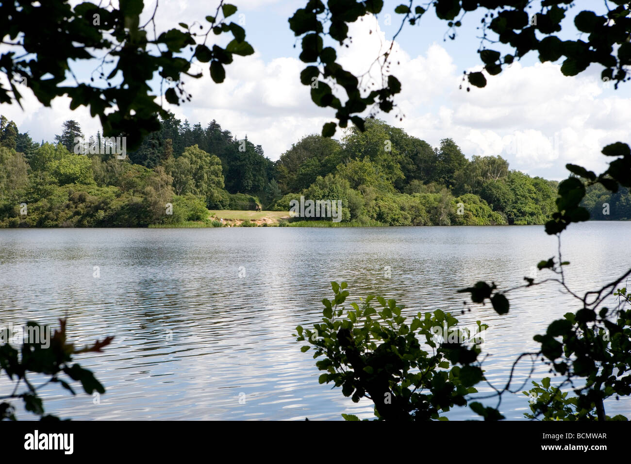 Virginia Water Surrey England Stock Photo - Alamy