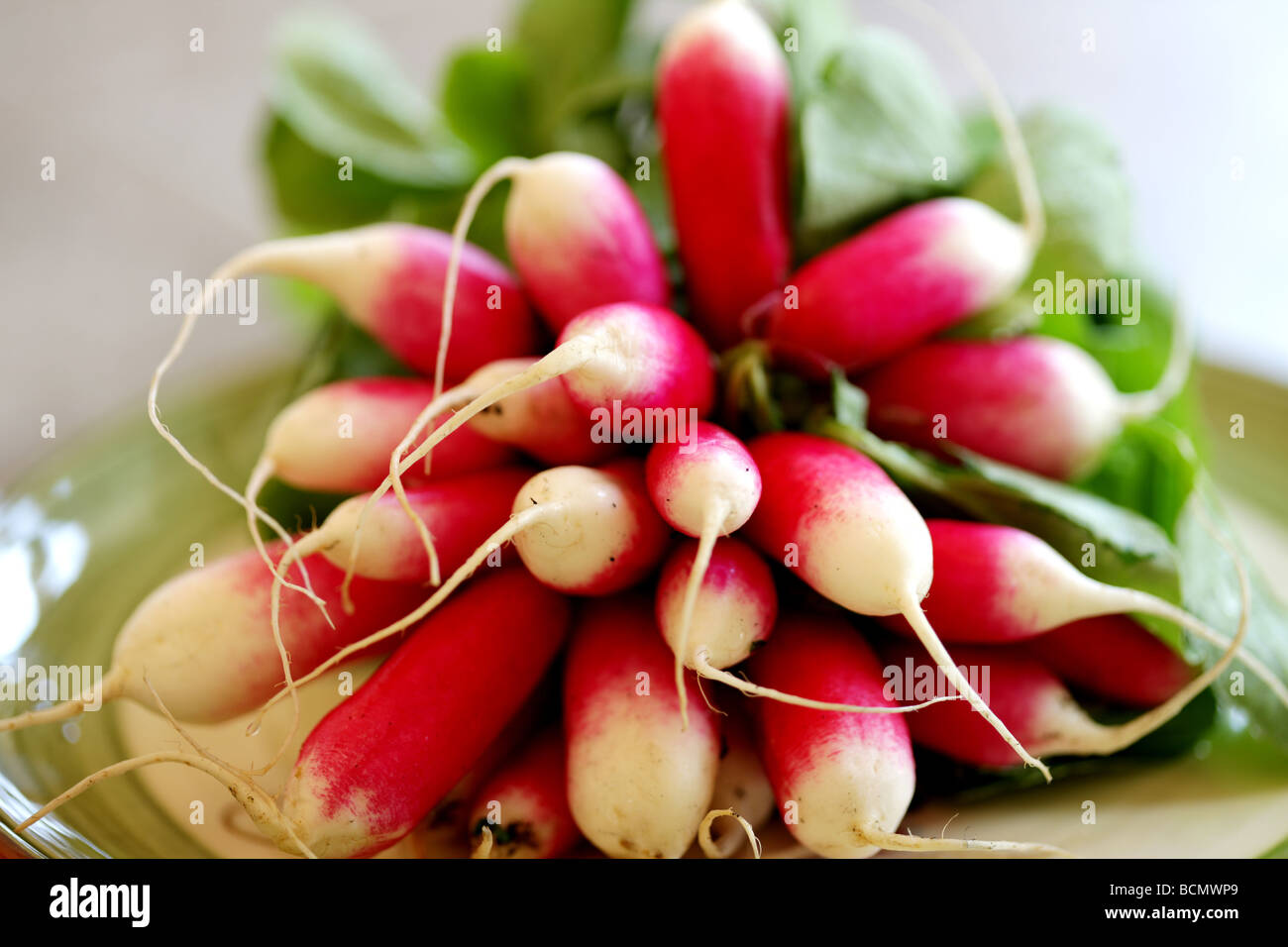 Bunch of Fresh Radish Stock Photo - Alamy