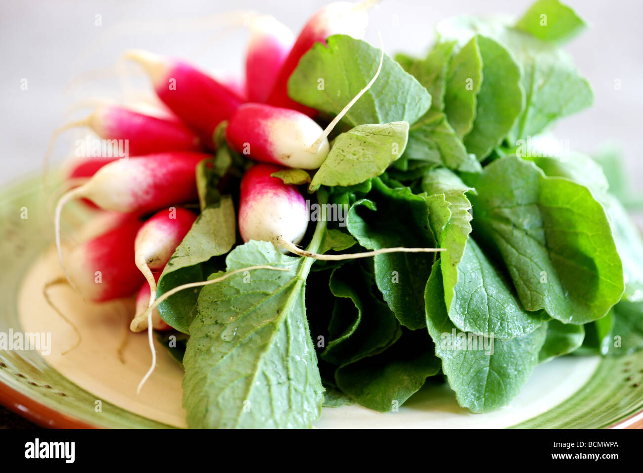 Bunch of Fresh Radish Stock Photo - Alamy
