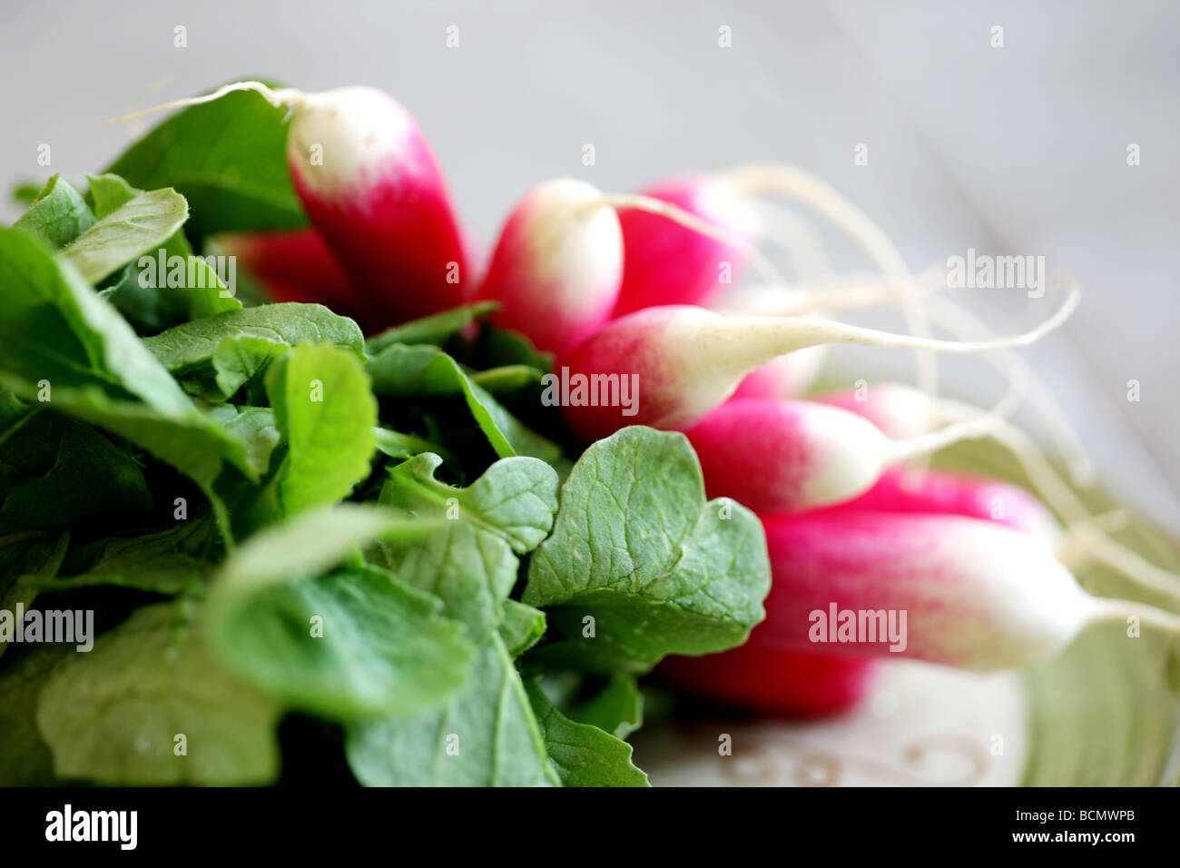 Bunch of Fresh Radish Stock Photo - Alamy