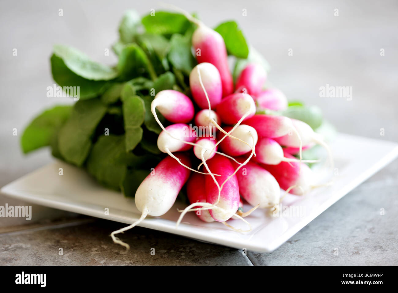 Raddish radish raddishes radishes vegetable vegetables food hi-res ...
