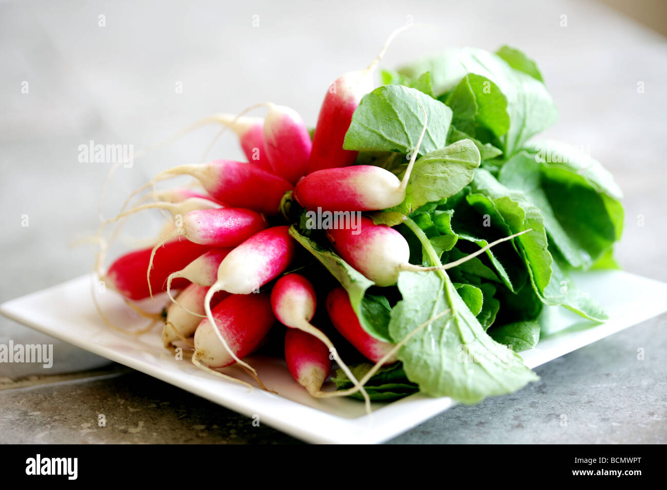 Bunch of Fresh Radish Stock Photo - Alamy