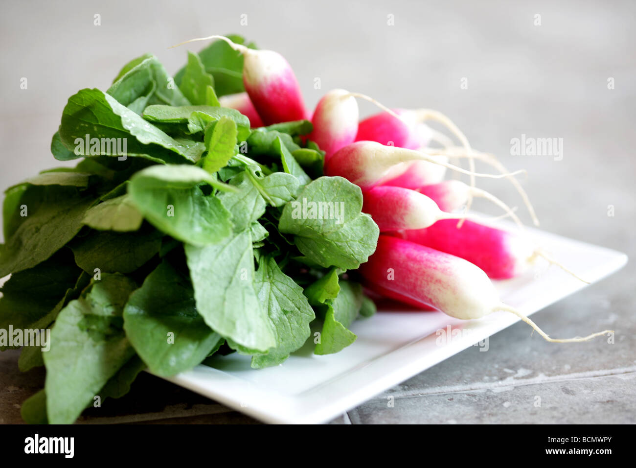 Bunch of Fresh Radish Stock Photo - Alamy