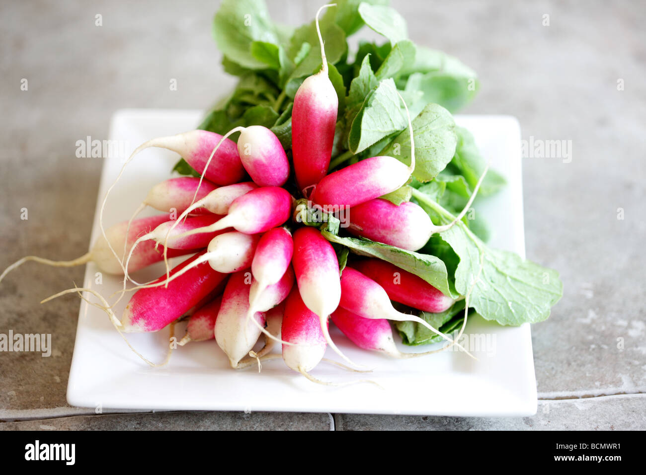 Raddish radish raddishes radishes vegetable vegetables food hi-res ...