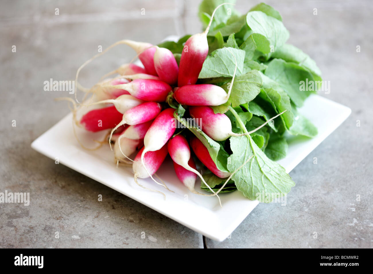 Bunch of Fresh Radish Stock Photo - Alamy