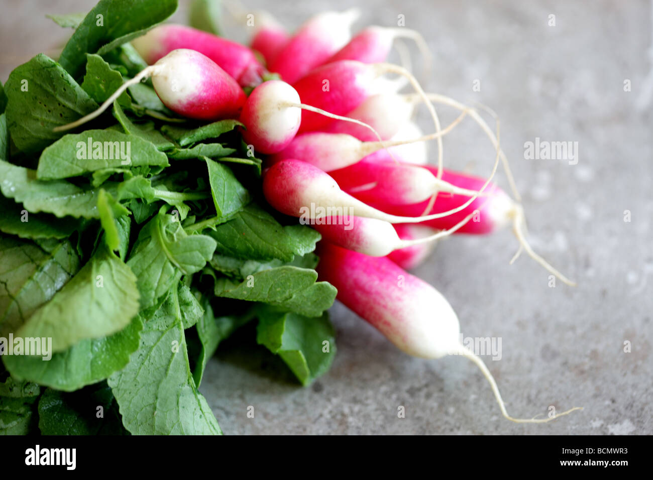 Bunch of Fresh Radish Stock Photo - Alamy