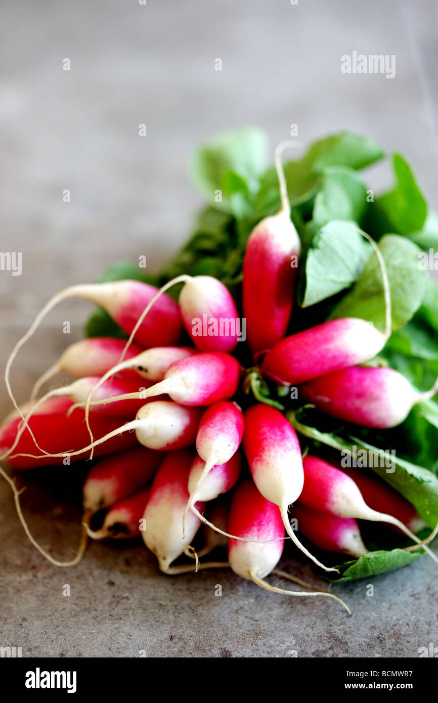Bunch of Fresh Radish Stock Photo - Alamy