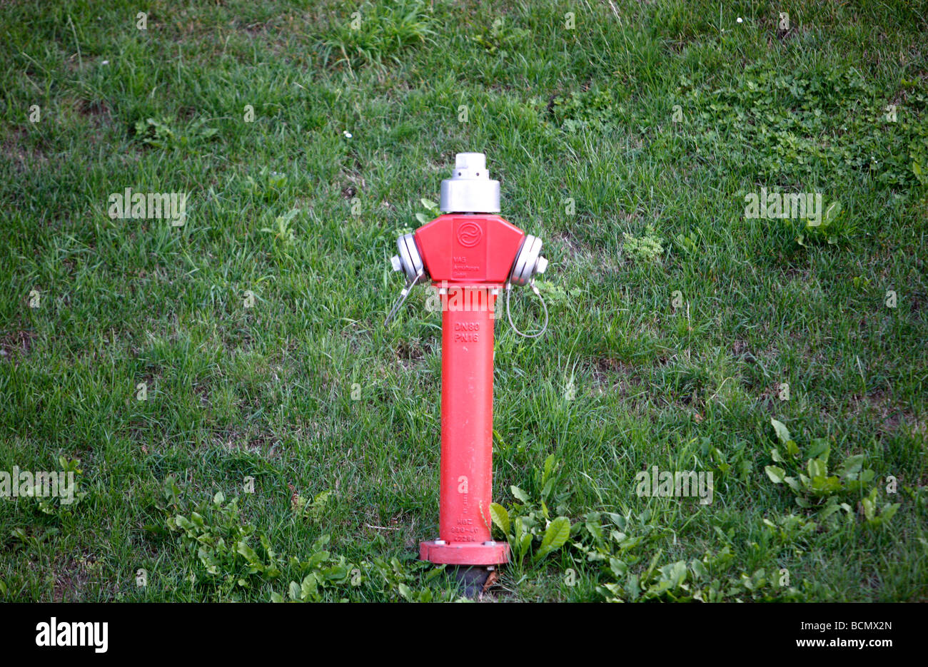 Fire hydrant on a meadow, Germany, Europe Stock Photo - Alamy