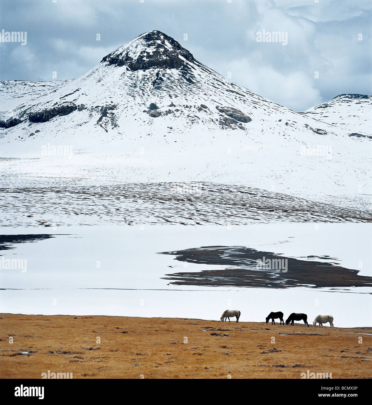 Amdo region hi-res stock photography and images - Alamy