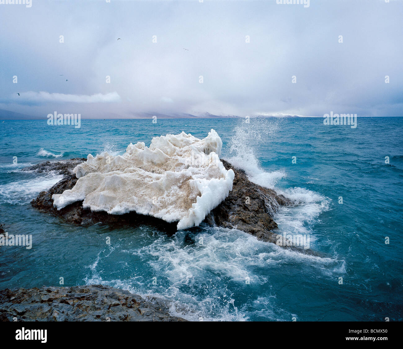 Co formed hi-res stock photography and images - Alamy