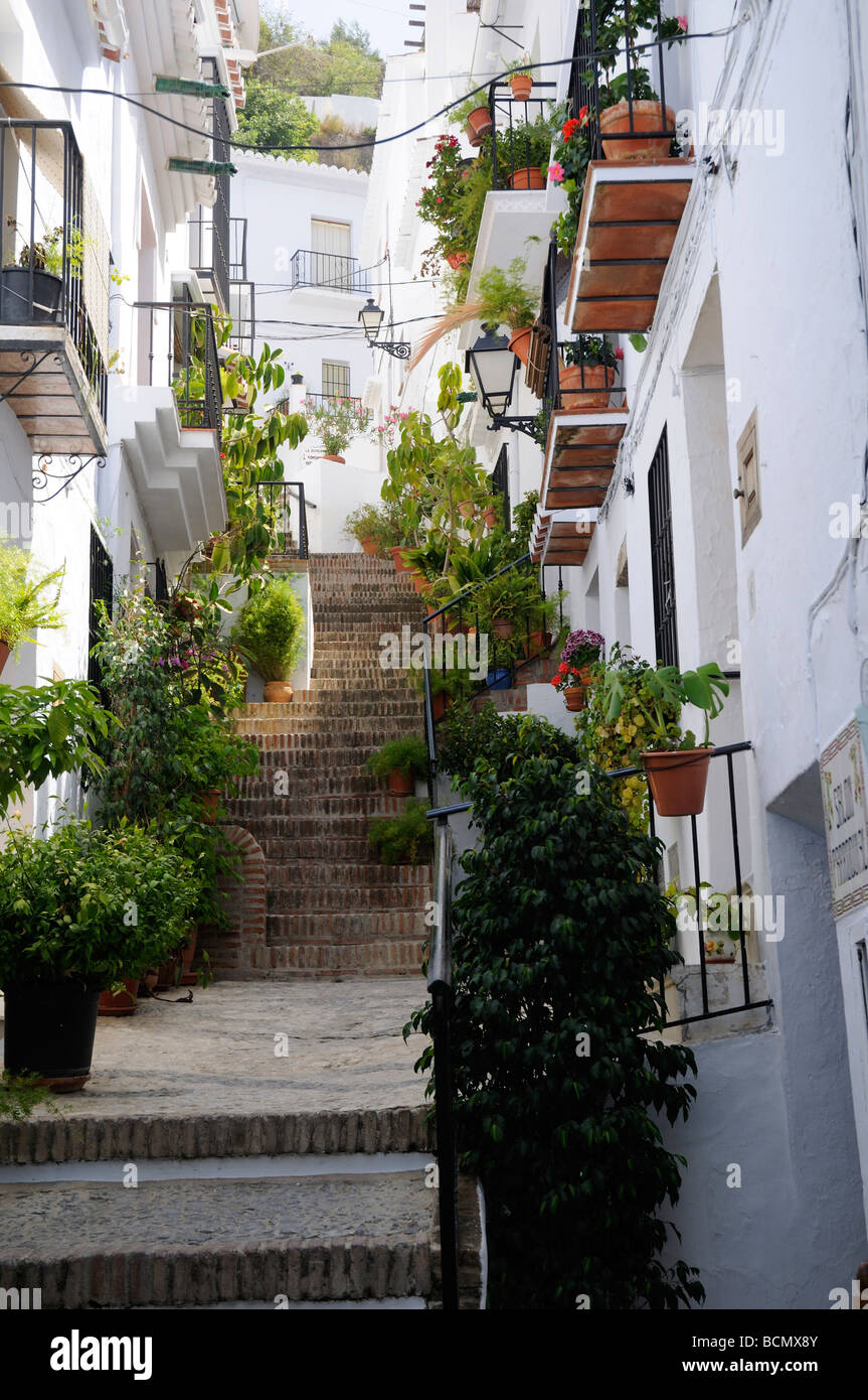 Frigiliana is one of the most beautiful 'white' villages of the ...