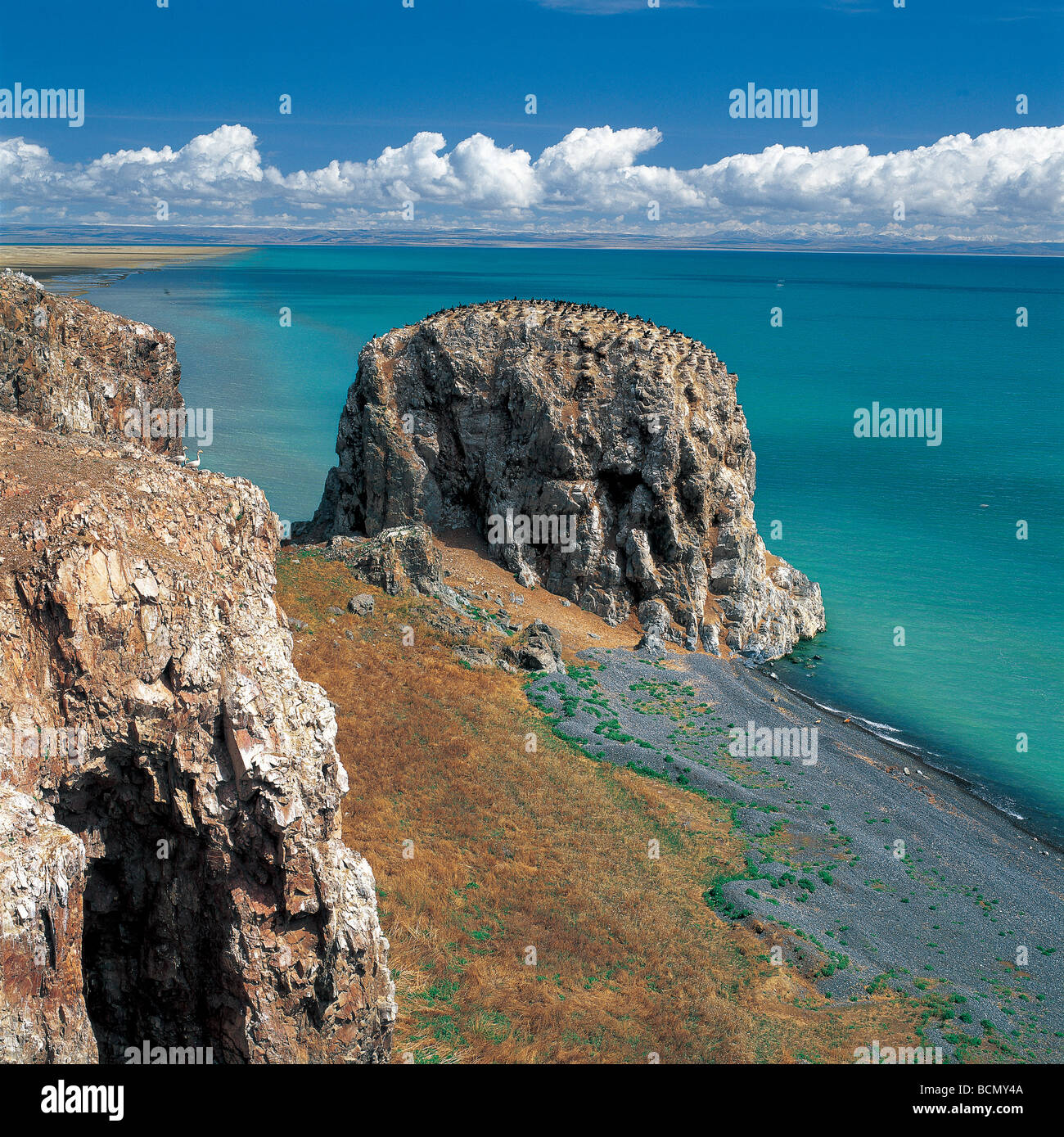 Vast qinghai hi-res stock photography and images - Alamy