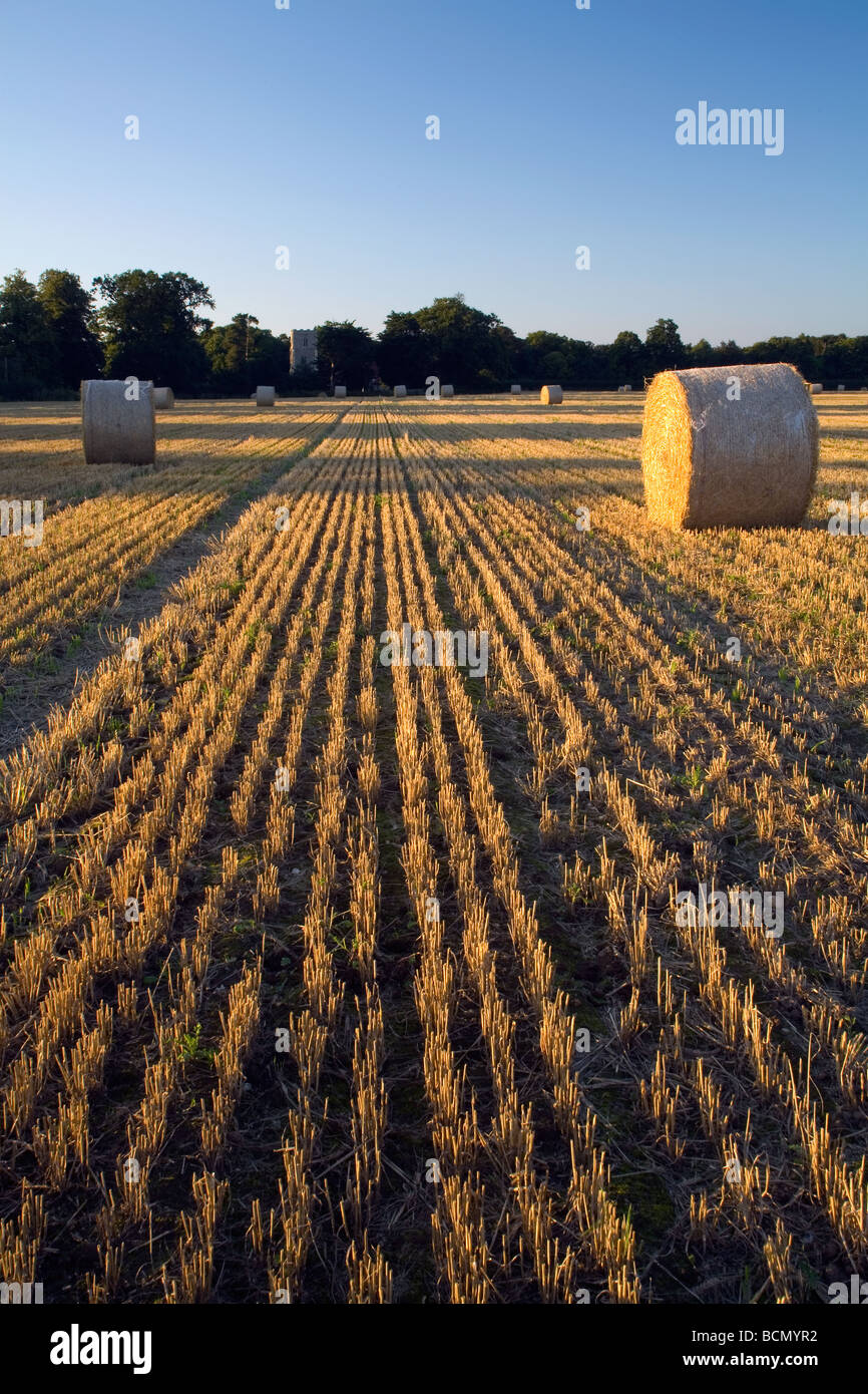 Freston hi-res stock photography and images - Alamy