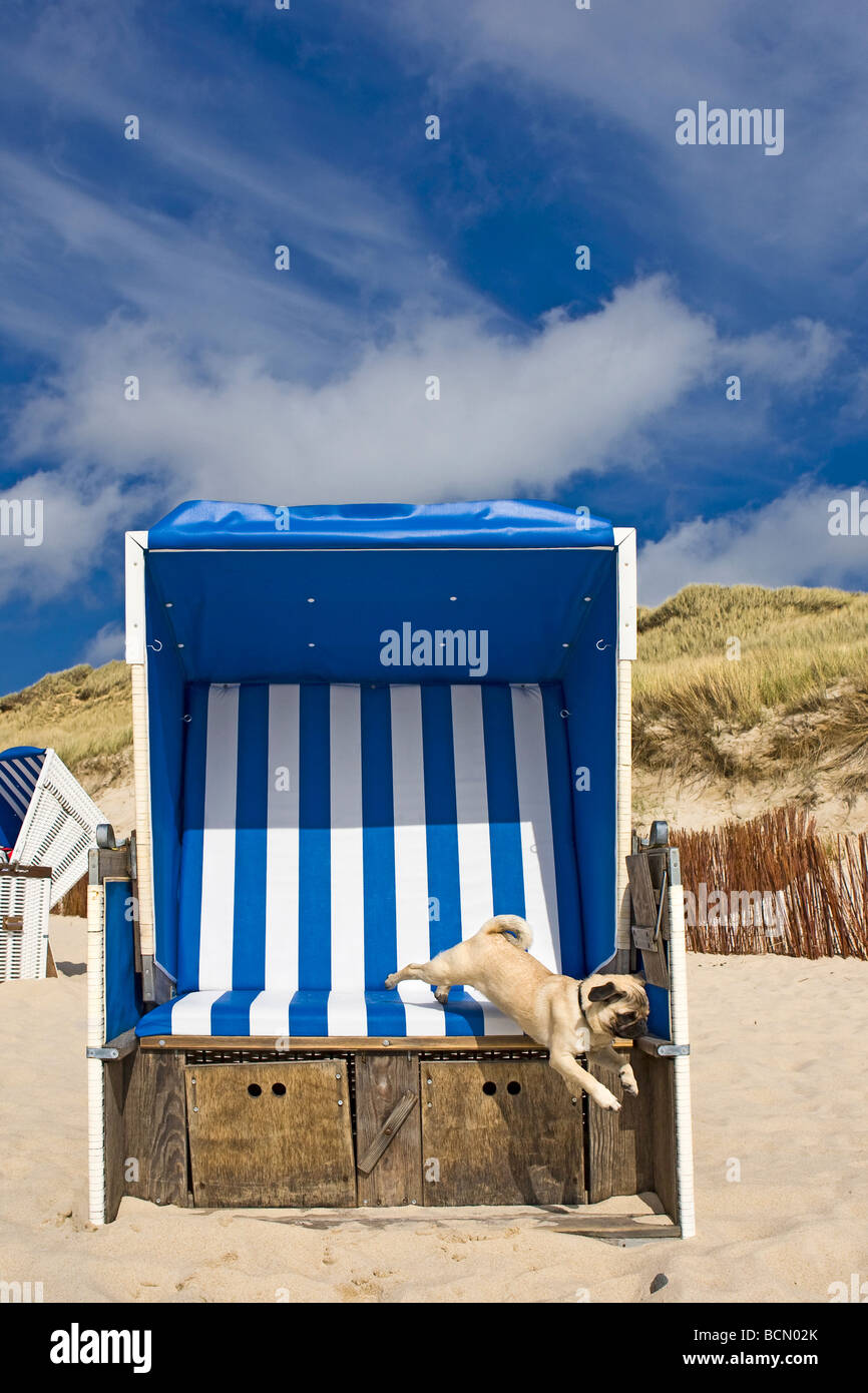 Jump Out Of Chair High Resolution Stock Photography and Images - Alamy