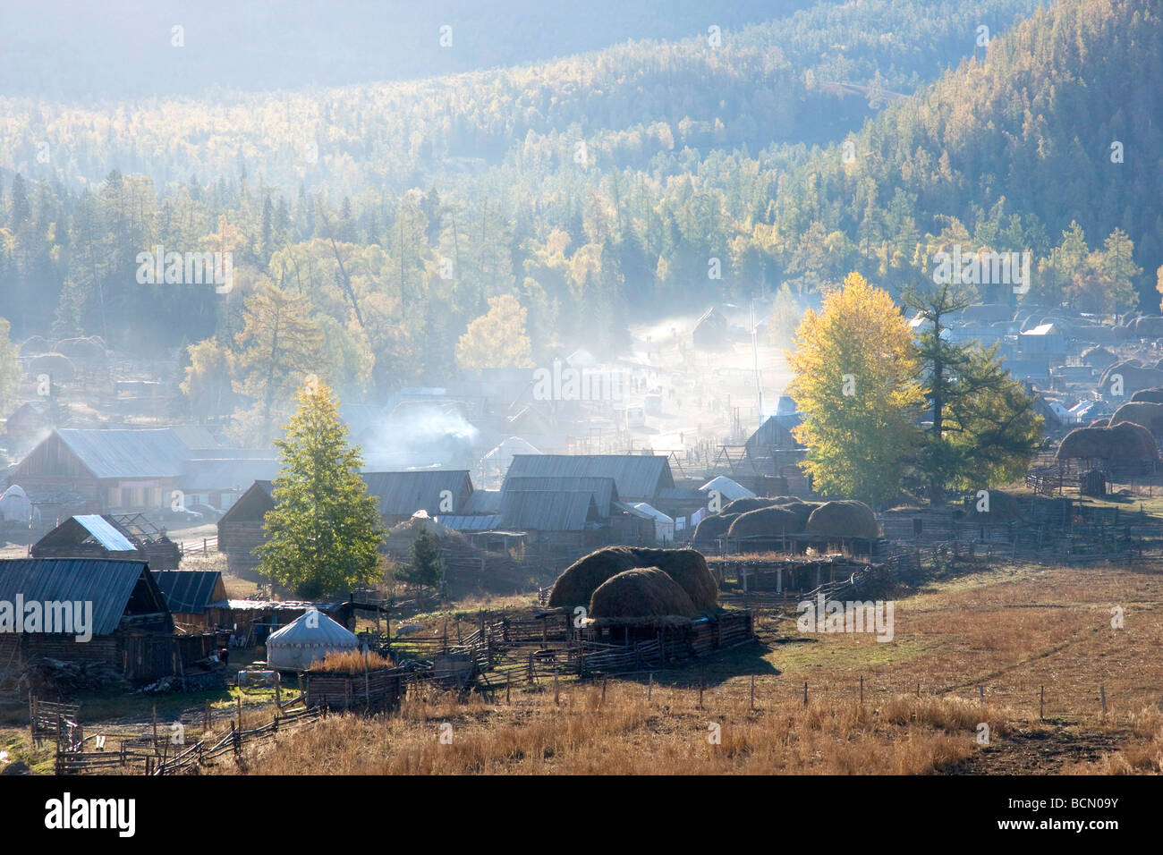 Hemu hi-res stock photography and images - Alamy