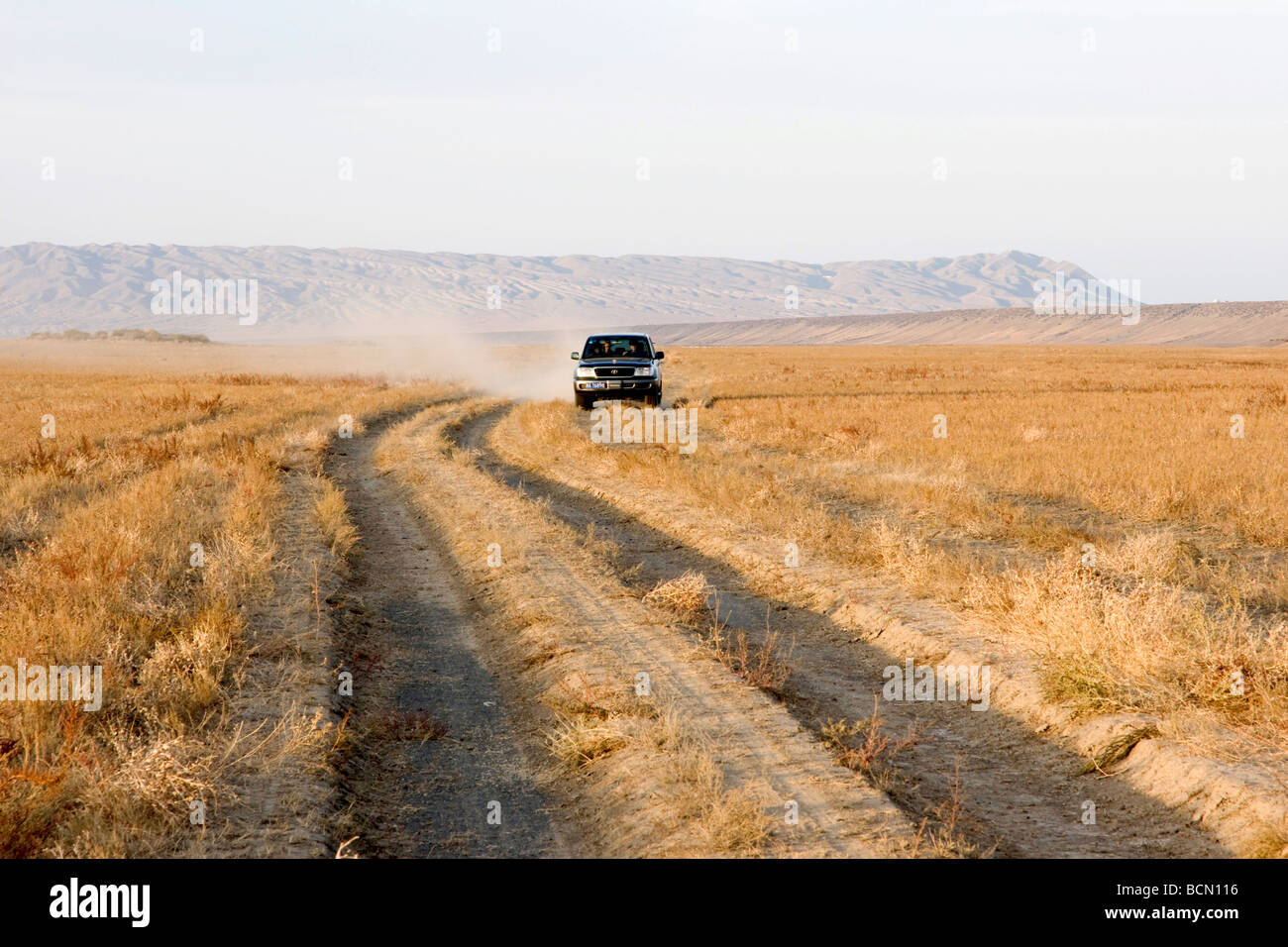 Car track mark on grassland hi-res stock photography and images - Alamy