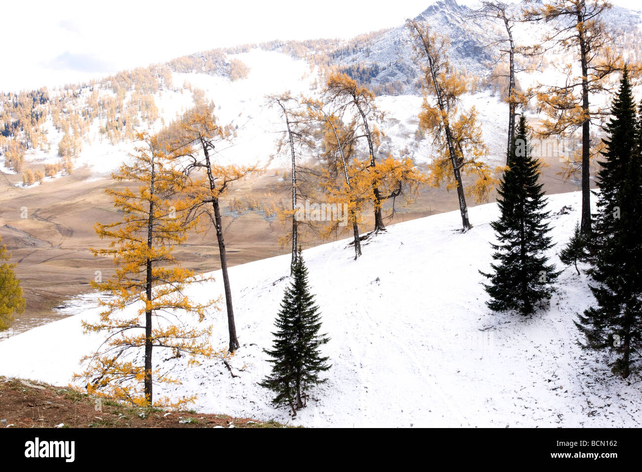 Snow covered Altai Mountain, Xinjiang Uyghur Autonomous Region, China ...