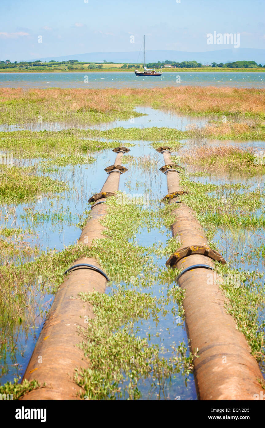 Effluent Discharge Stock Photos & Effluent Discharge Stock Images - Alamy