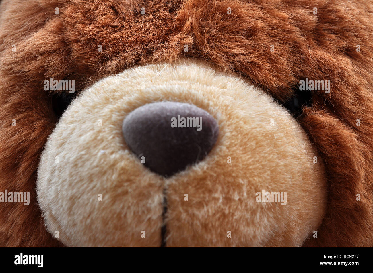 Cuddly bear hi-res stock photography and images - Alamy