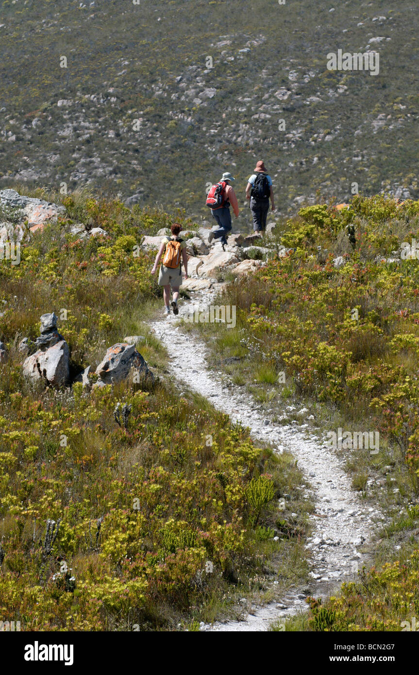 Whale trail hi-res stock photography and images - Alamy