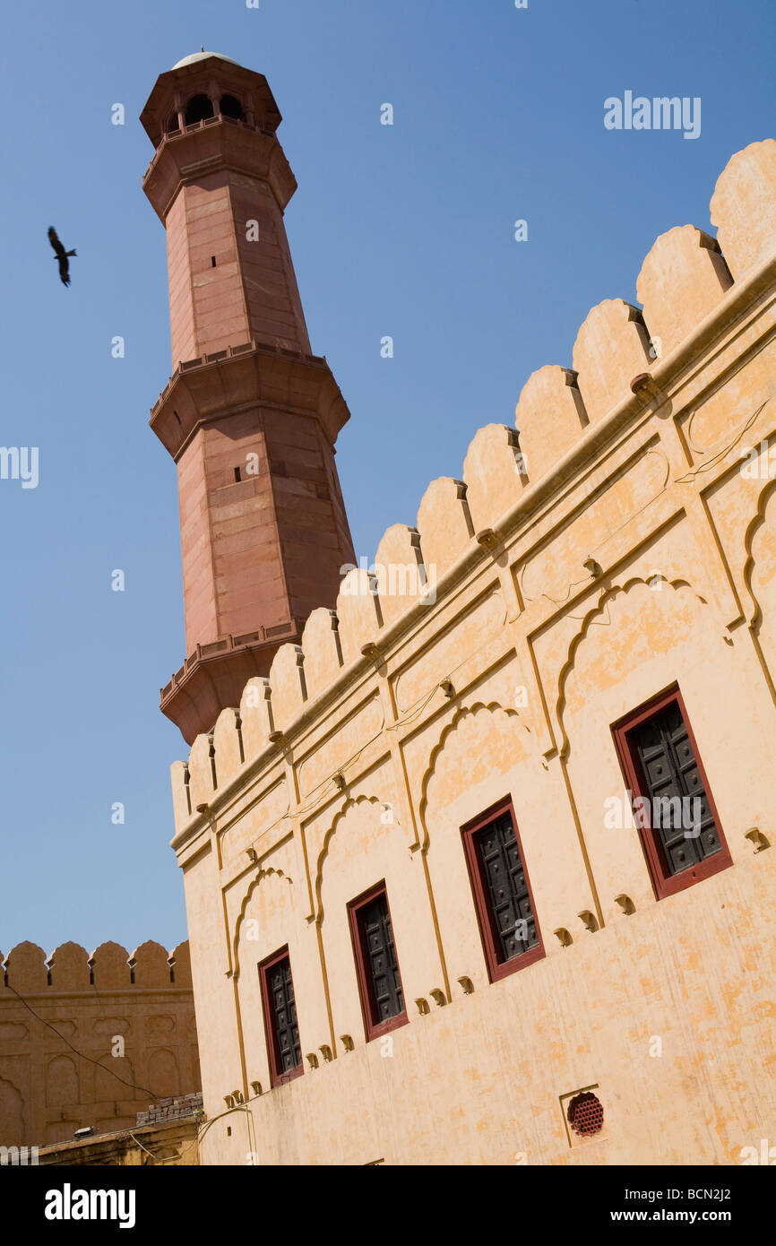 An eagle circles Badshahi Mosque's minaret Stock Photo - Alamy