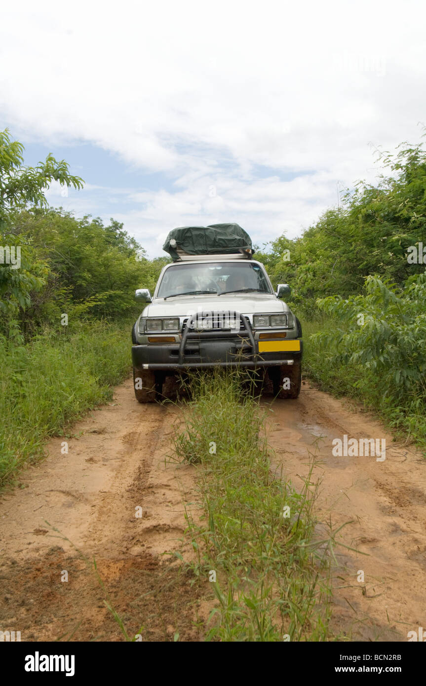 Bush road to Mongwe Stock Photo - Alamy