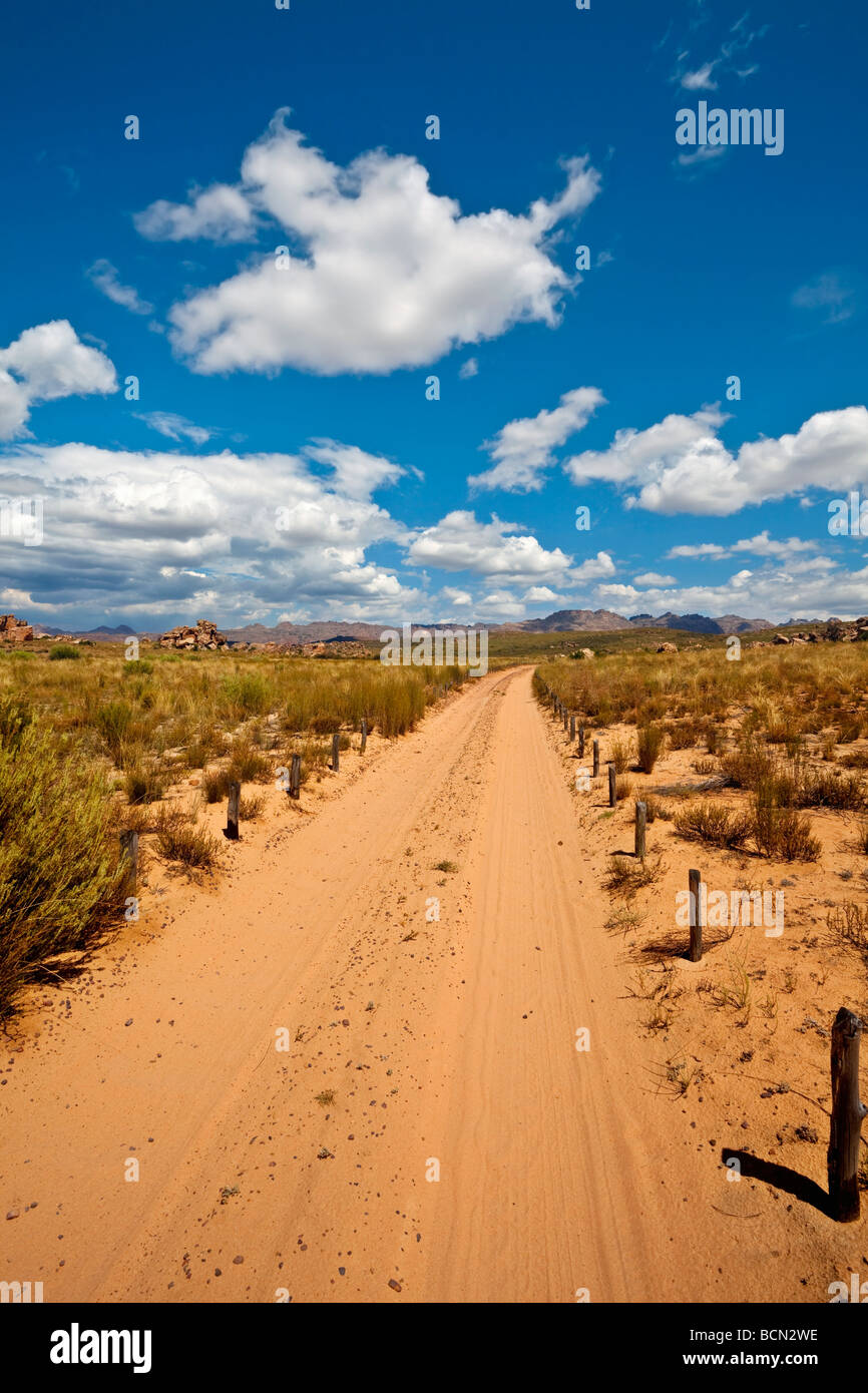 Dirt road through sandy grasslands, Cederberg Mountains Stock Photo - Alamy