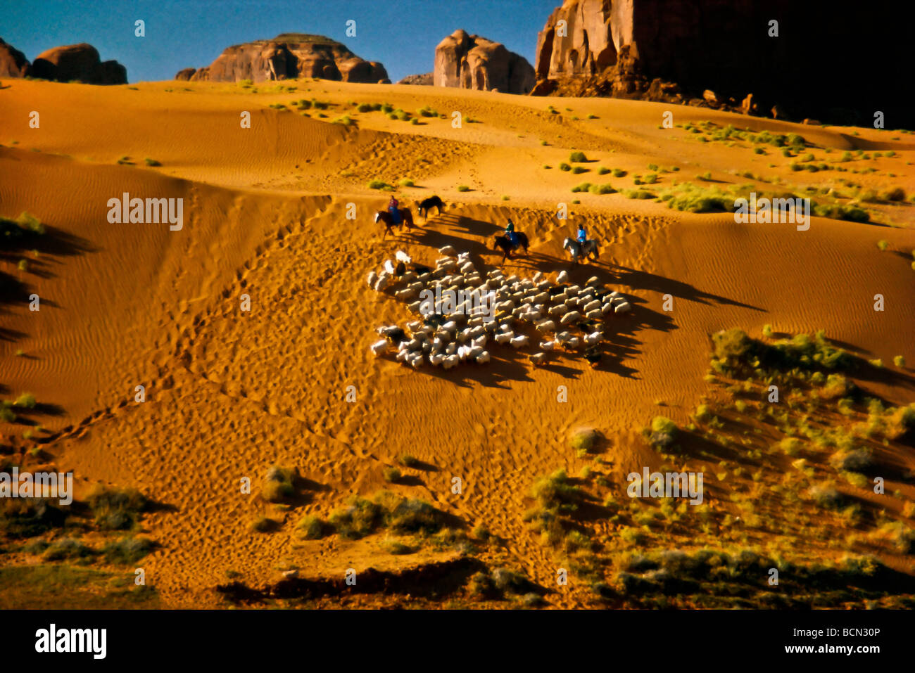 Navajo shepherds herding sheep on an indian reservation arizona hi-res ...
