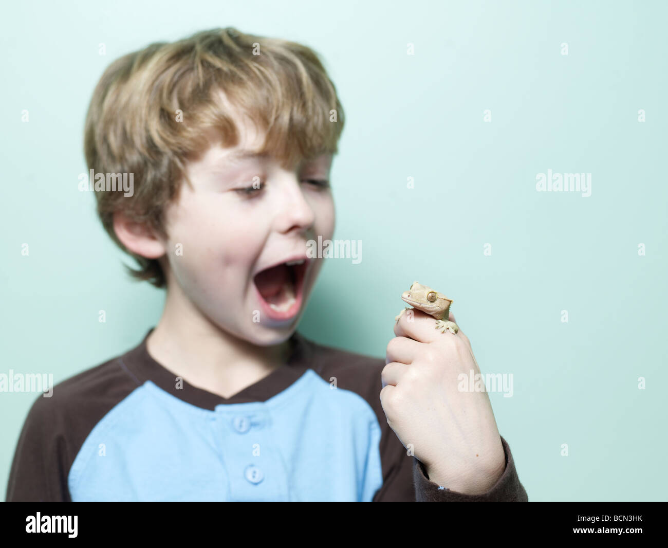 Boy lizard hi-res stock photography and images - Alamy