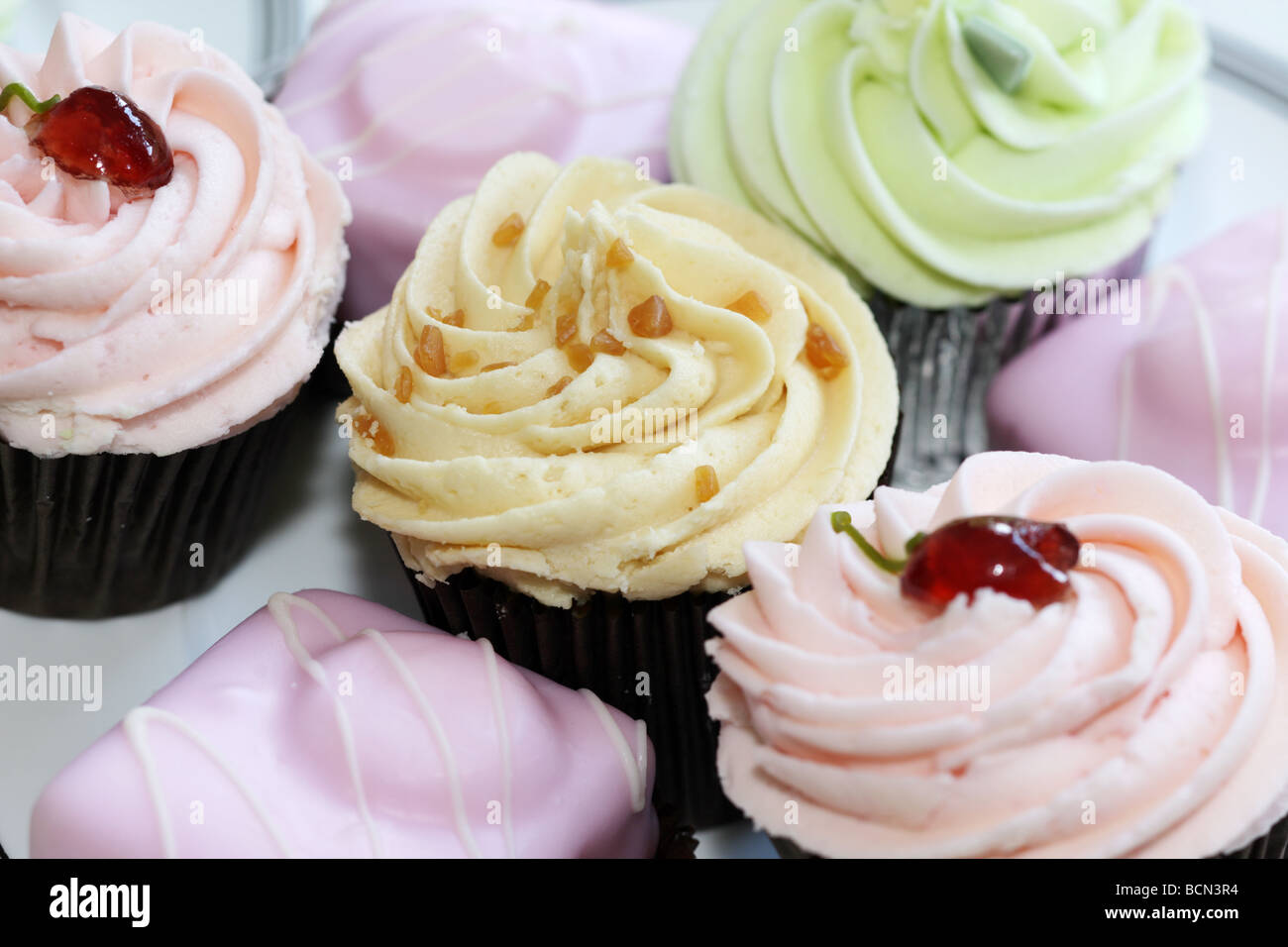 Selection of Cup Cakes Stock Photo - Alamy