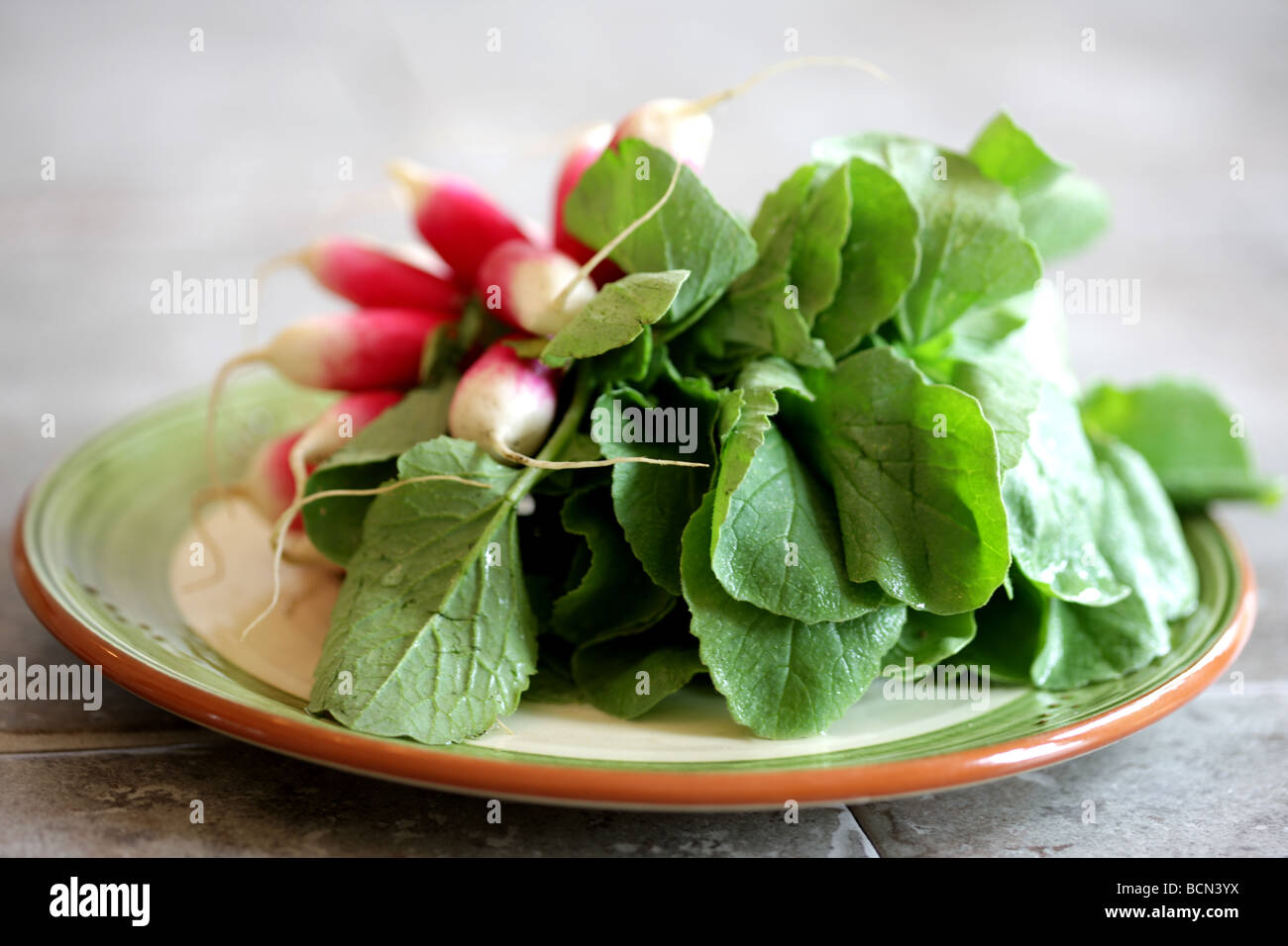 Fresh Healthy Bunch of Fresh Vegetable Hot Peppery Summer Salad ...