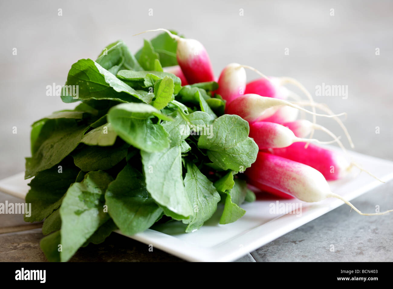 Fresh Healthy Bunch of Fresh Vegetable Hot Peppery Summer Salad ...