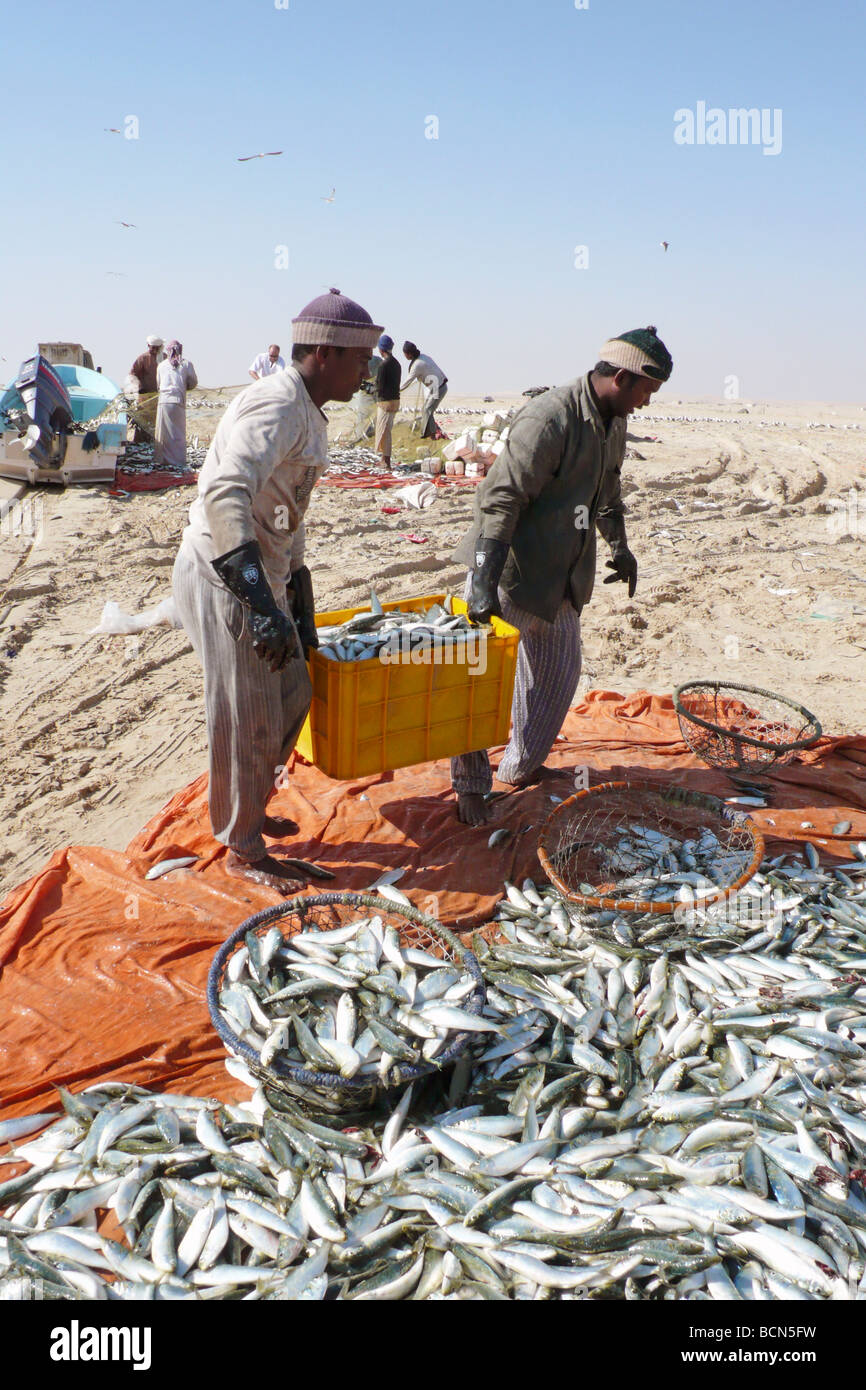 oman nakhda fishermen Stock Photo - Alamy