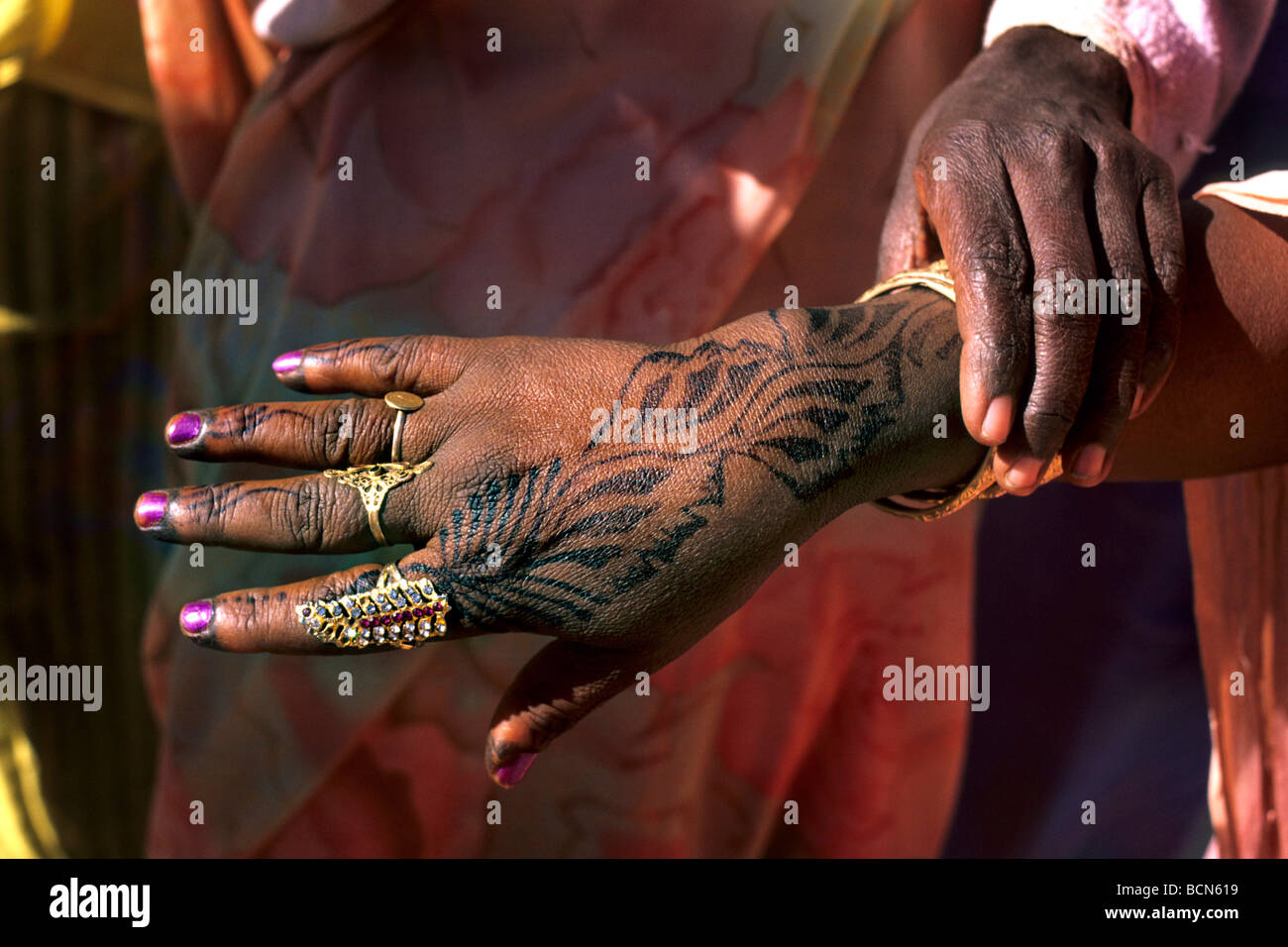 Sudan dongola camel hi-res stock photography and images - Alamy