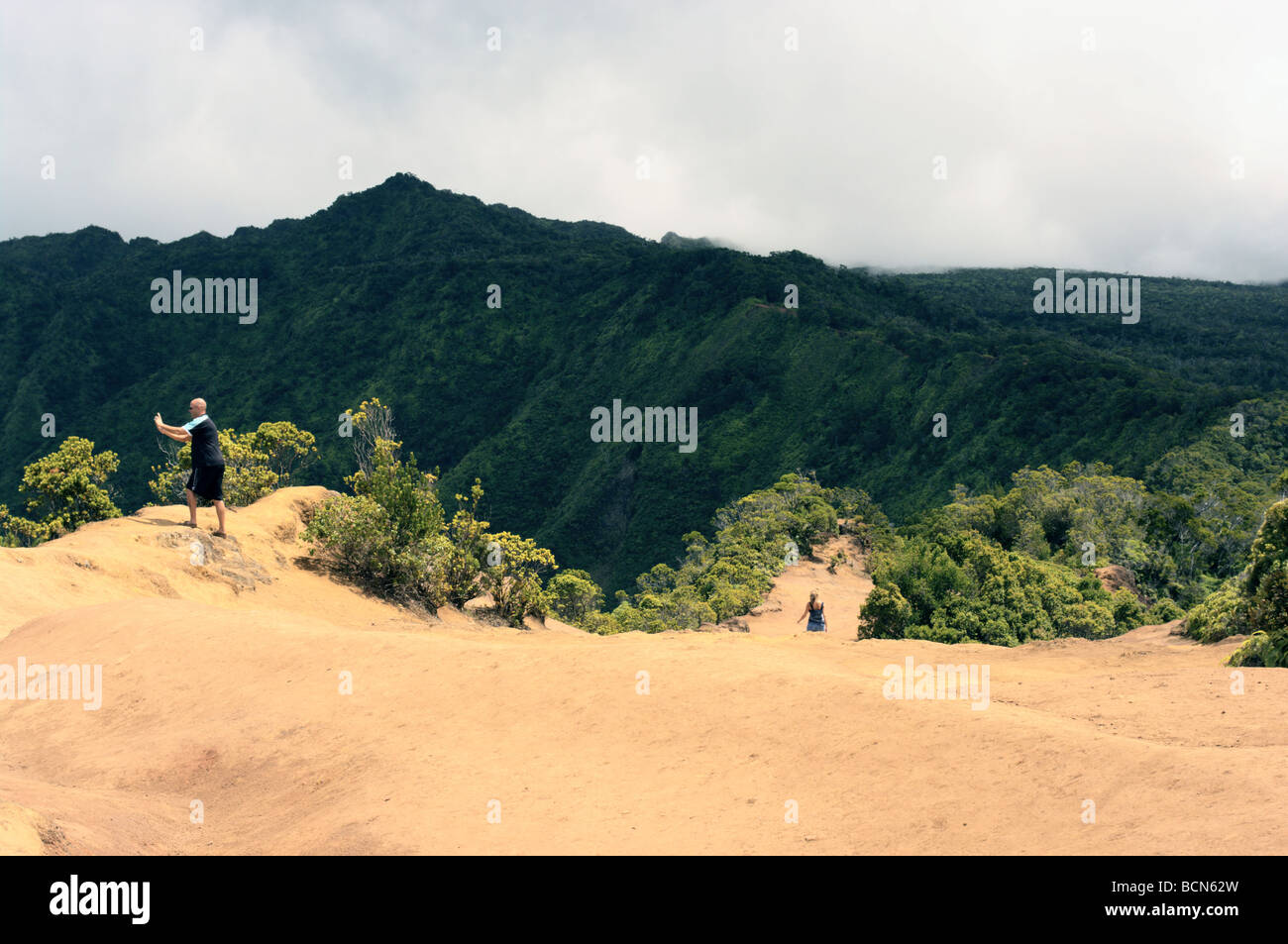 Pihea Trailhead Kauai HI Stock Photo - Alamy